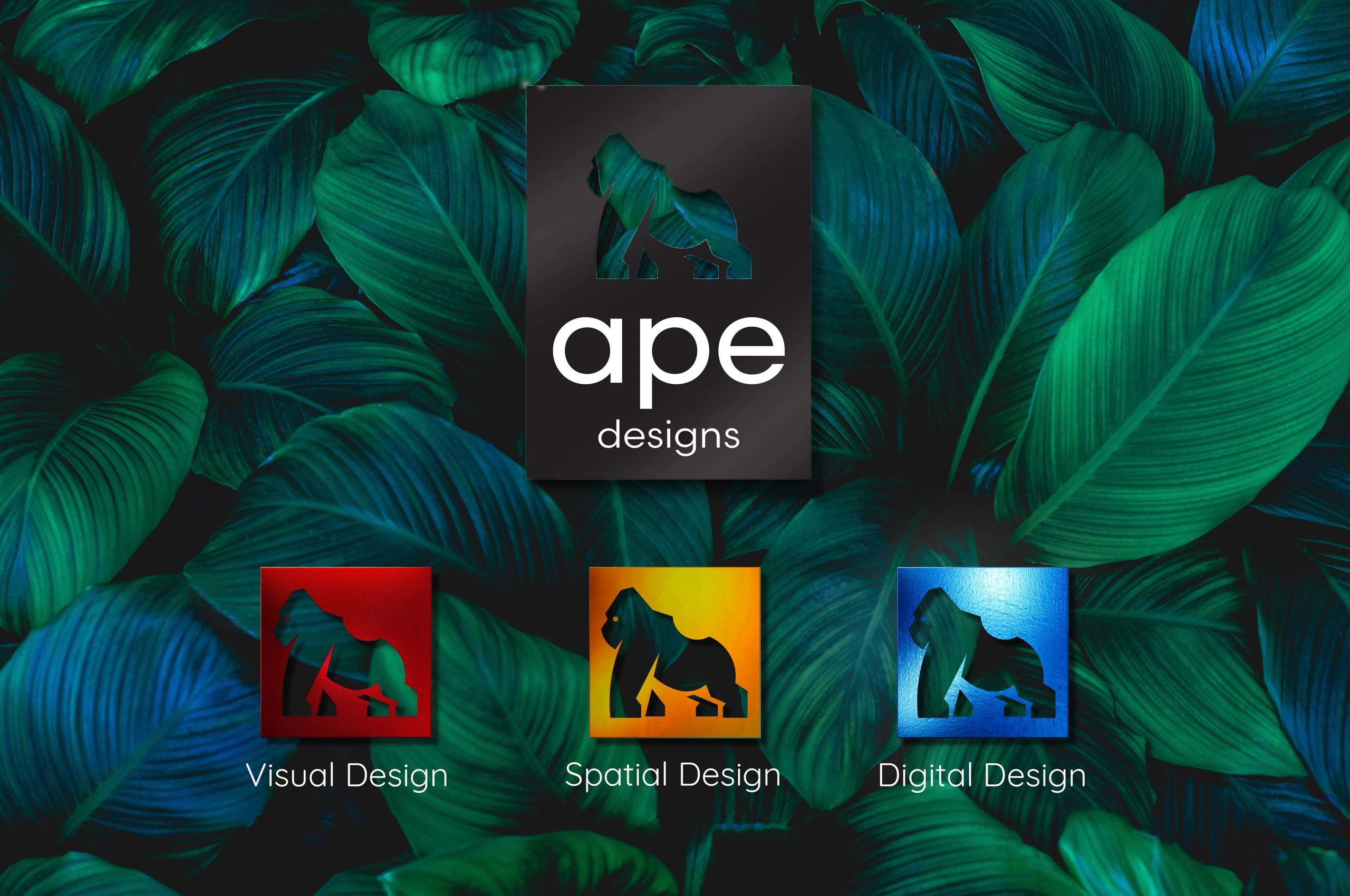 About | Ape Designs